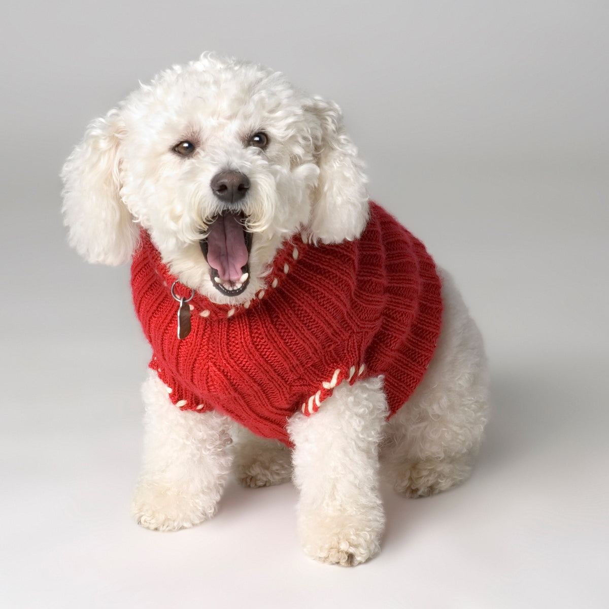 Dog Coats & Sweaters – UKUSCAdoggie