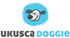 Adopt a Dog Today - 333 Rule of Adopting a Dog – UKUSCAdoggie