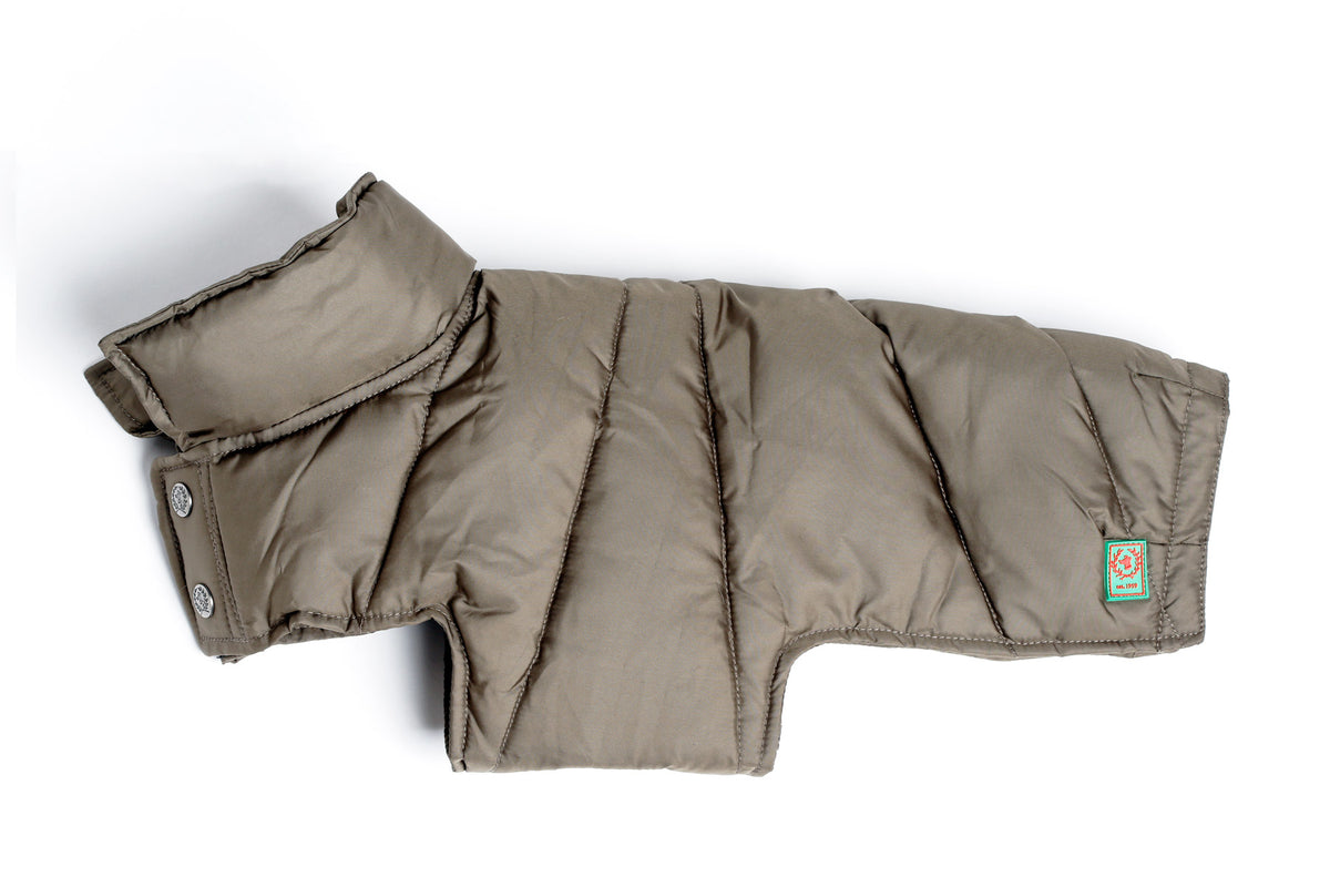 One Special Puffer Coat for Dogs | Luxury Down Puffer Dog Coat ...